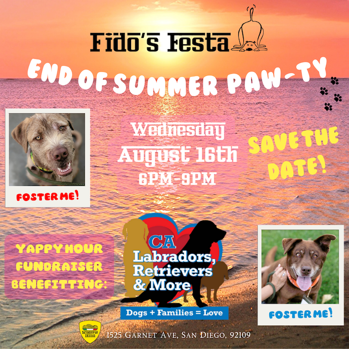 FIDO'S FIESTA - Pacific Beach Italian Restaurant